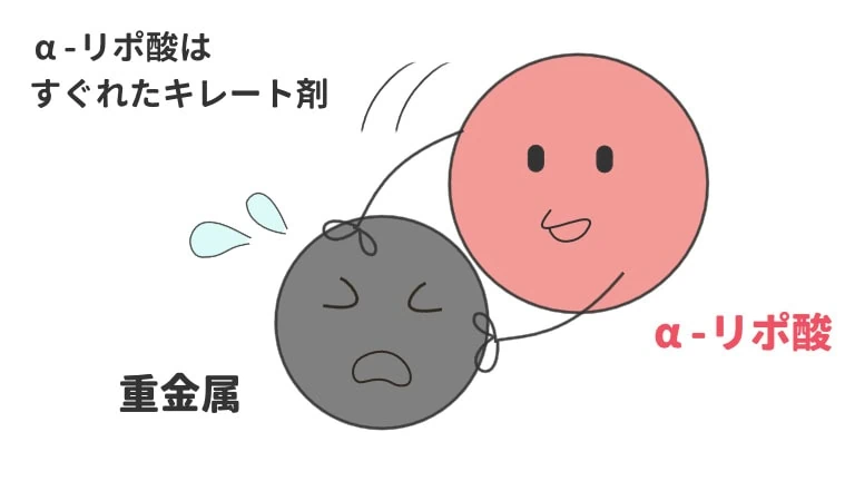 頭皮ケア・スカルプケア | サロン・ド・リジュー